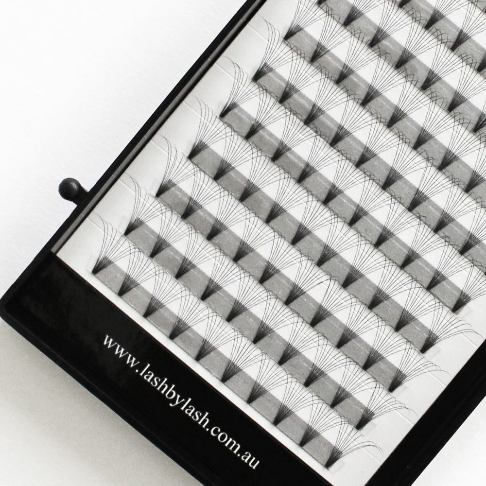 Pre made volume fans 10d 0.03 – Professional Lash Supplies Australia